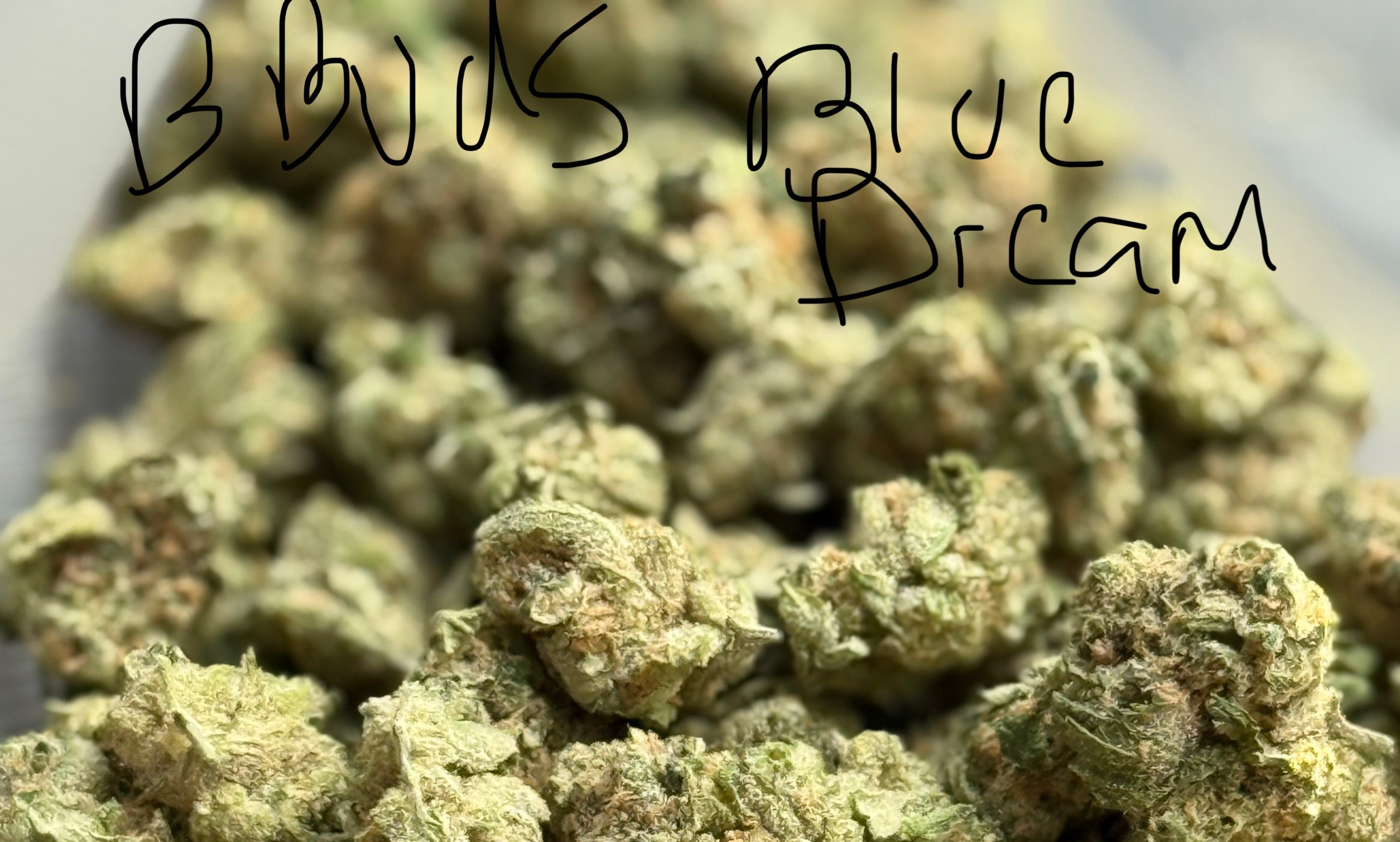 J Litty – J Litty’s