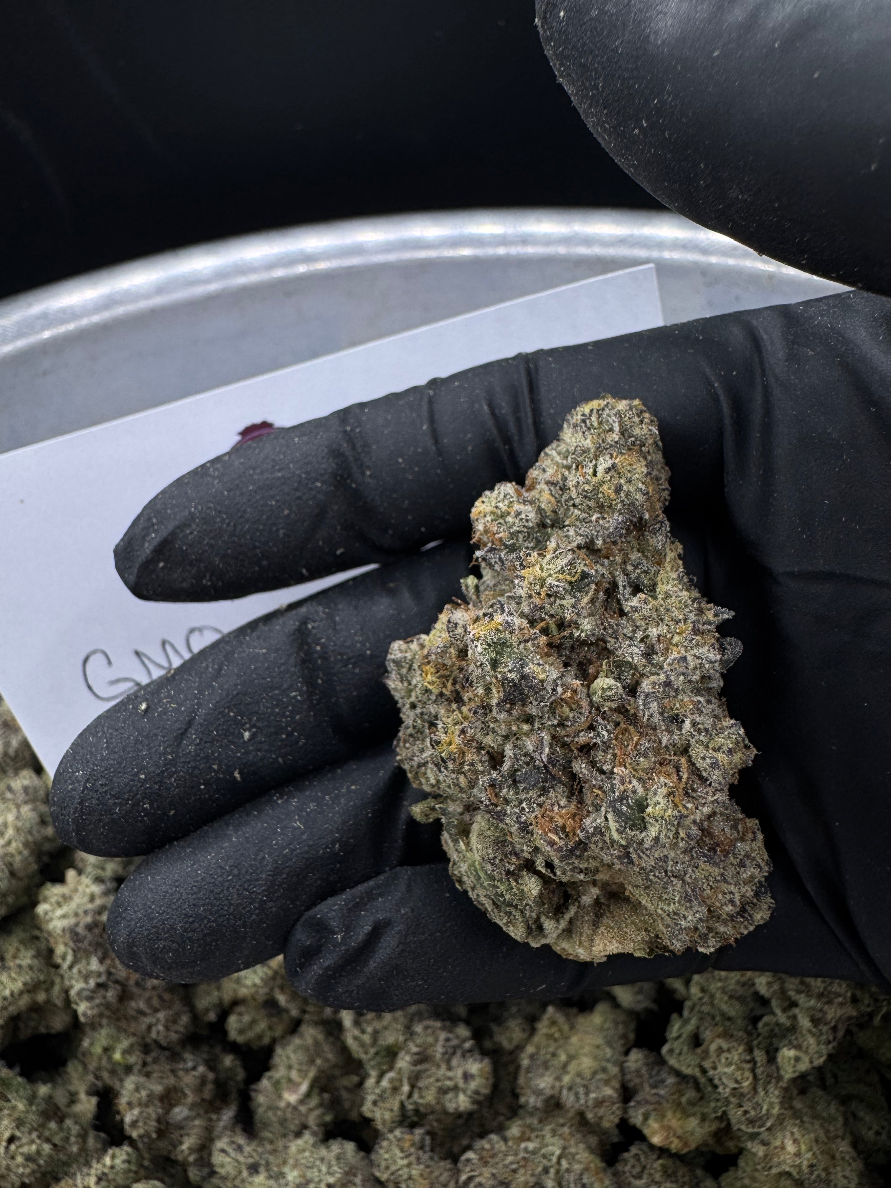 SMALLS AND MEDIUMS – J Litty’s