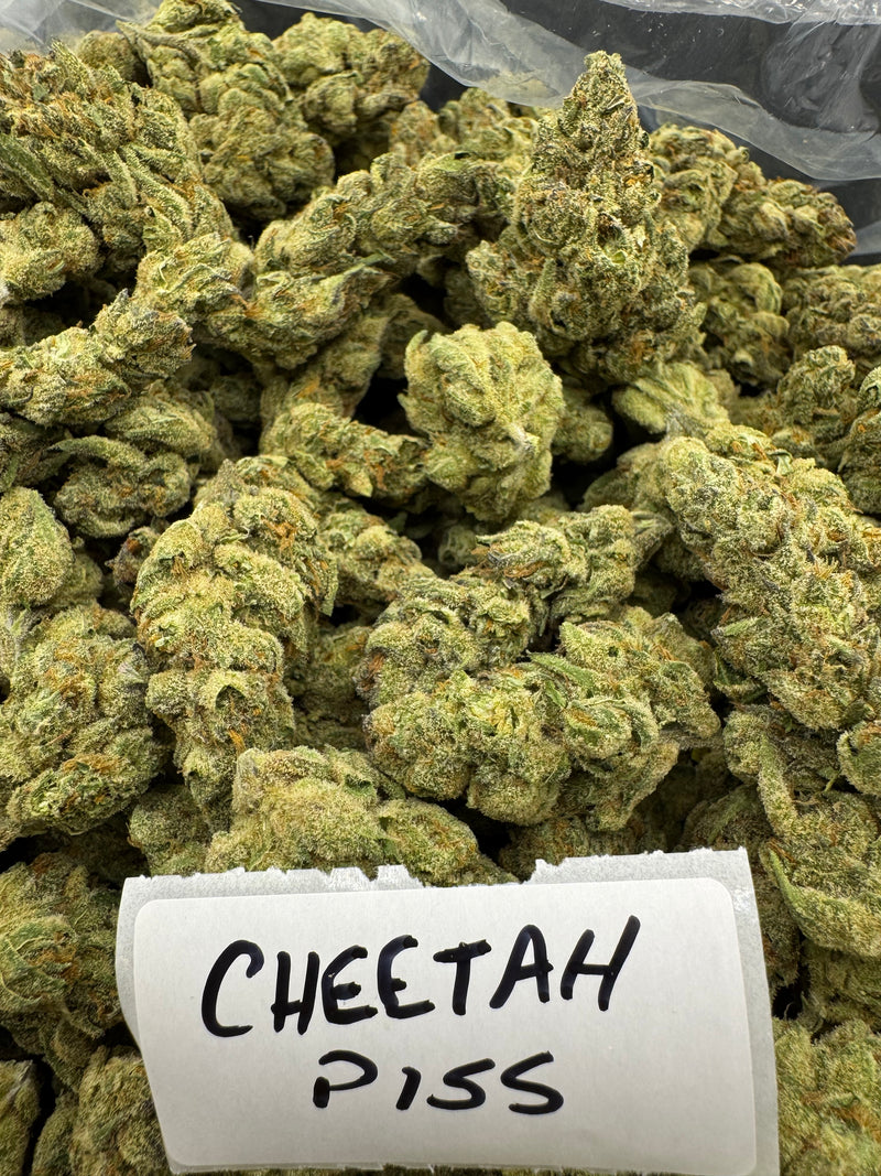 J Litty – J Litty’s