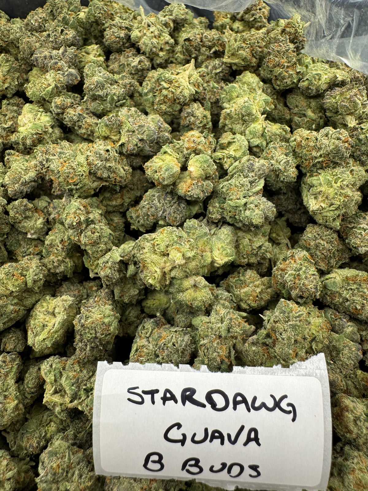 J Litty – J Litty’s