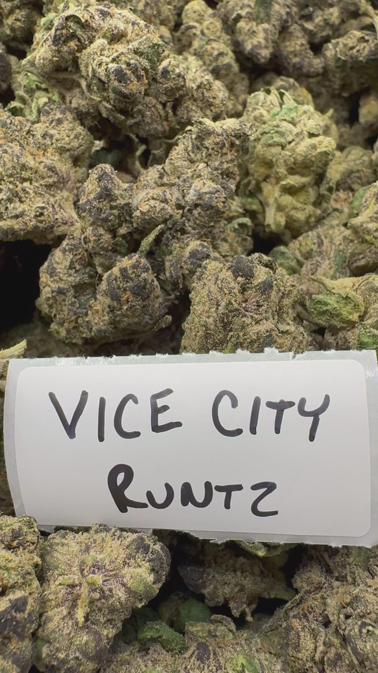 J Litty – J Litty’s