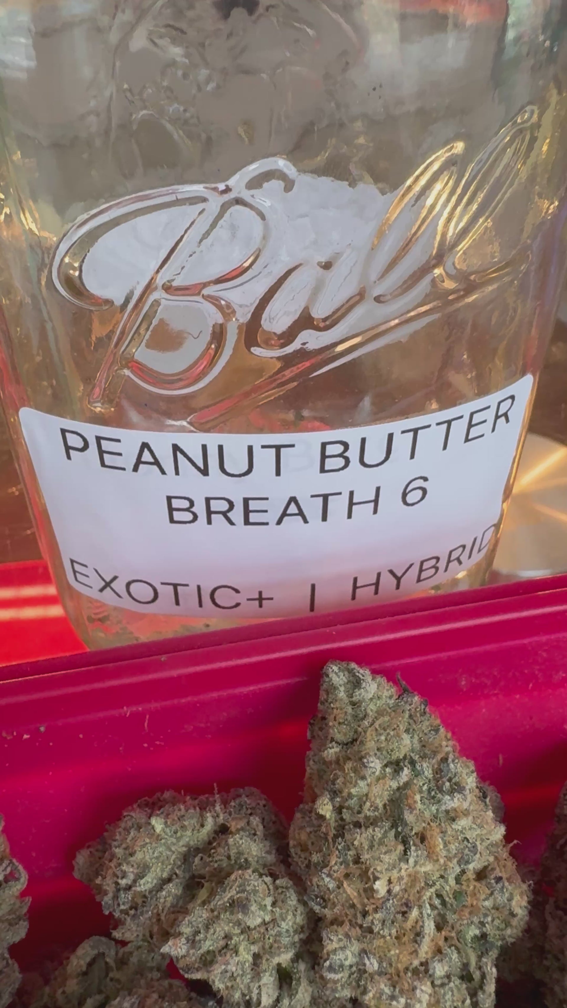 J Litty – J Litty’s