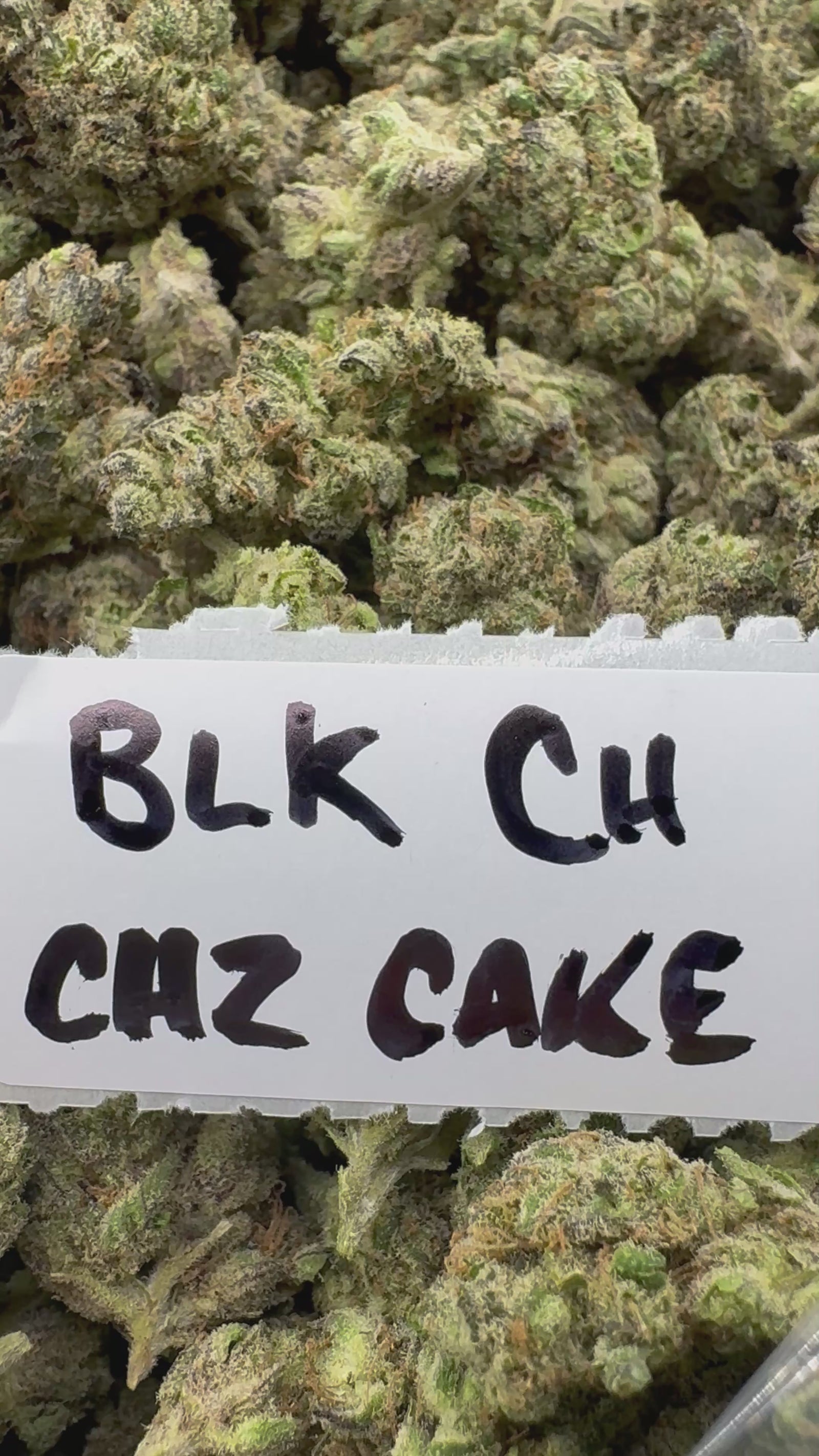 J Litty – J Litty’s