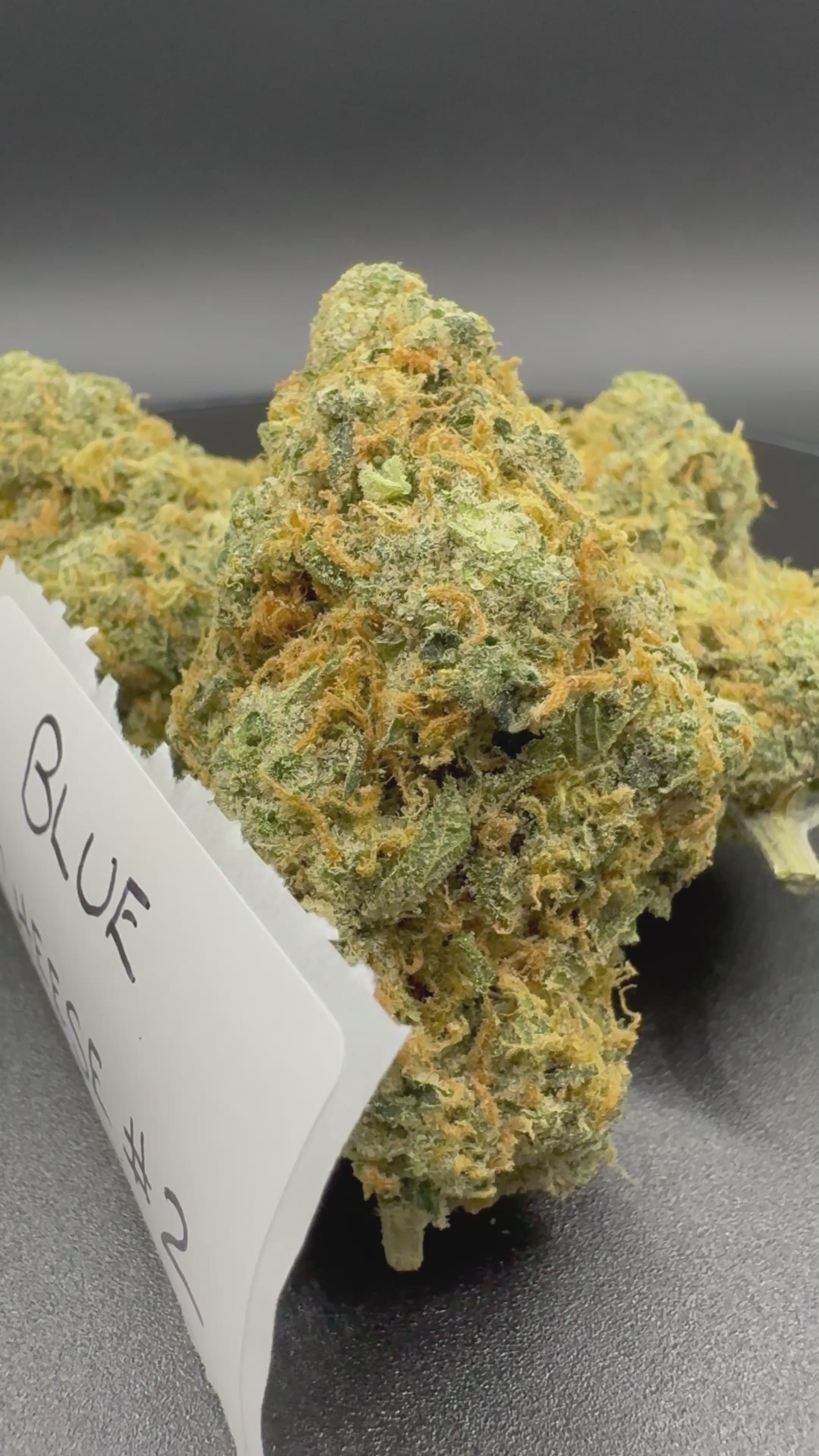 J Litty – J Litty’s